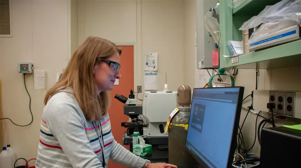 US NIST Database Transforms Textile Recycling