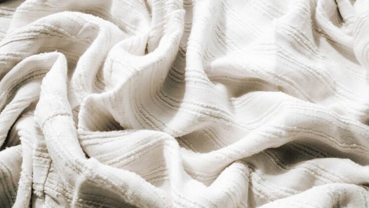 Global Survey: Cotton is the Preferred Fiber Choice in 2025